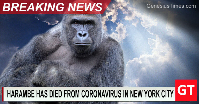 BREAKING: Harambe has died from coronavirus in New York City • Genesius ...