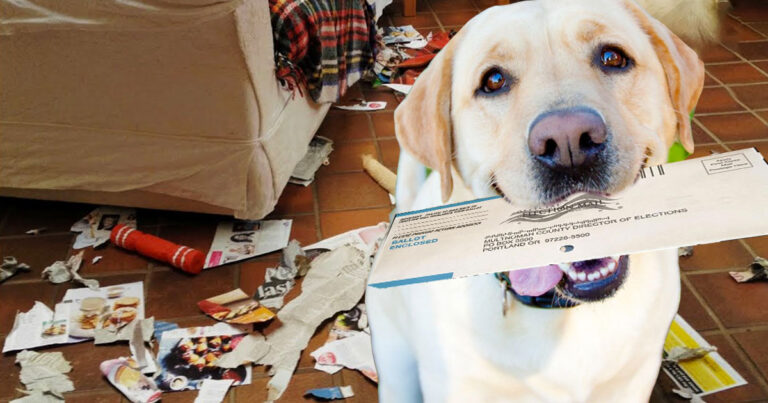 Millions of American pets eager to vote by mail in their first ...