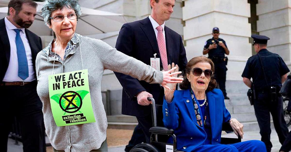 Protestor who glued herself to Senator Feinstein can still vote on her ...