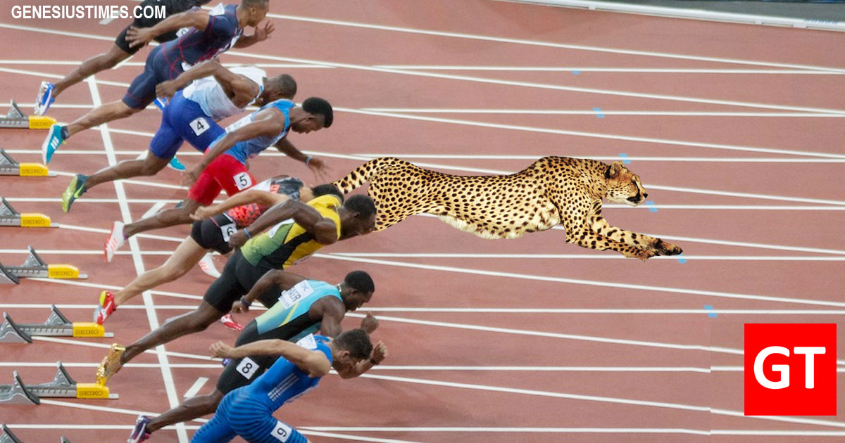 First biological cheetah who identifies as a man set to take gold for ...